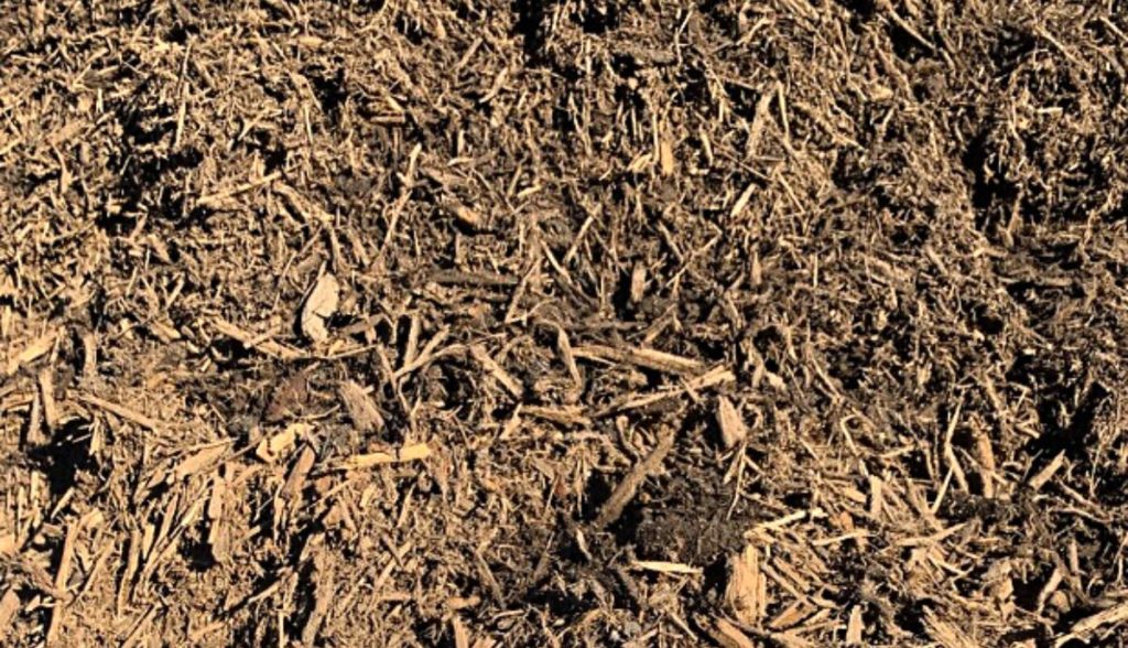 Creating a Mulch Improved Soil Part 2 - Capital Trees